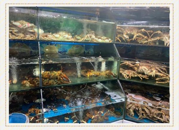 中国十大海鲜批发市场在哪里_进货怎么选-第2张图片-山城妙识