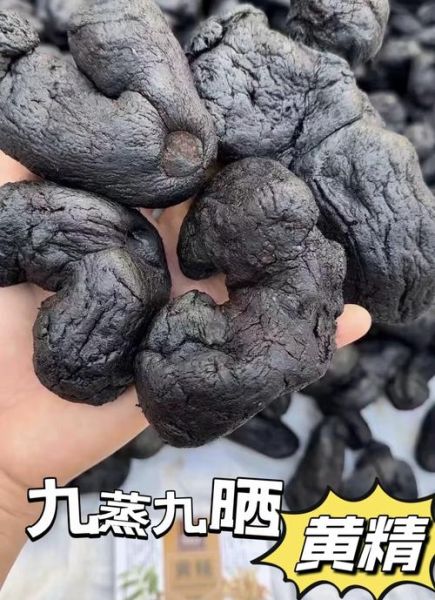 黄精怎么吃效果最好_黄精禁忌有哪些-第3张图片-山城妙识