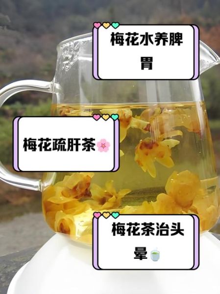 腊梅花泡水喝的功效与作用_腊梅花茶适合什么人喝-第1张图片-山城妙识 腊梅花泡水喝的功效与作用_腊梅花茶适合什么人喝-第1张图片-山城妙识
