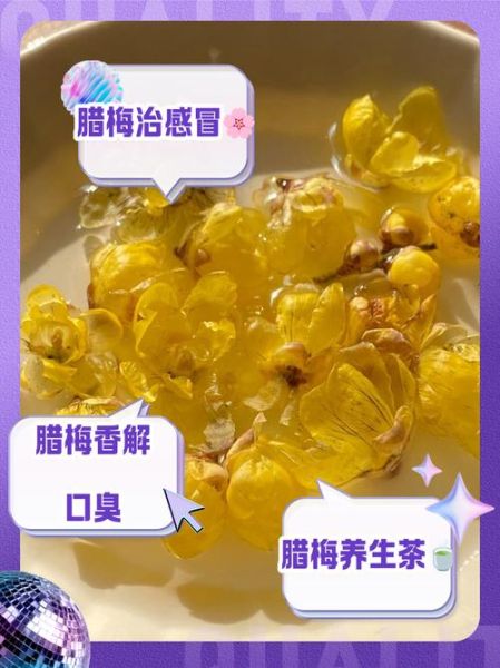 腊梅花泡水喝的功效与作用_腊梅花茶适合什么人喝-第3张图片-山城妙识 腊梅花泡水喝的功效与作用_腊梅花茶适合什么人喝-第3张图片-山城妙识