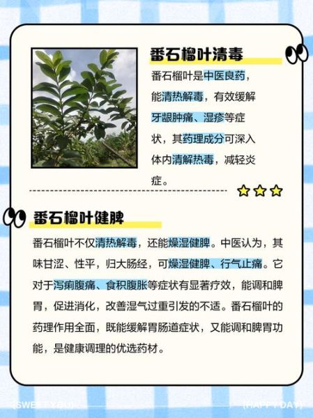 番石榴叶降血糖真的有用吗_番石榴叶茶怎么喝才有效-第2张图片-山城妙识