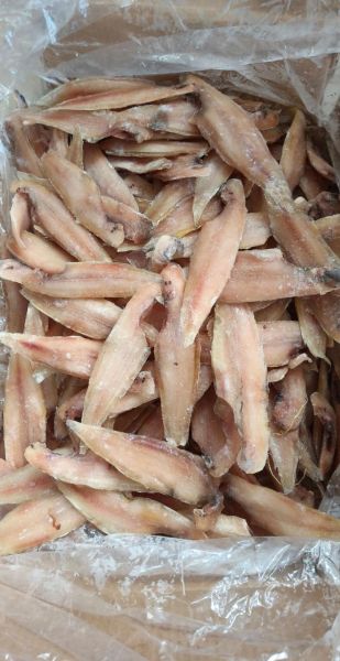 龙利鱼多少钱一斤2018_龙利鱼价格走势-第1张图片-山城妙识