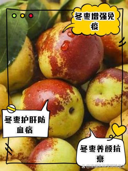 冬枣的营养价值_冬枣的功效与作用-第2张图片-山城妙识