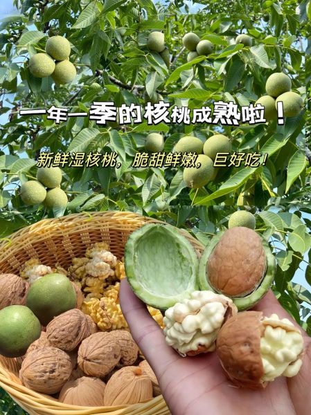 青皮核桃怎么去皮快_新鲜核桃快速去皮方法-第3张图片-山城妙识 青皮核桃怎么去皮快_新鲜核桃快速去皮方法-第3张图片-山城妙识