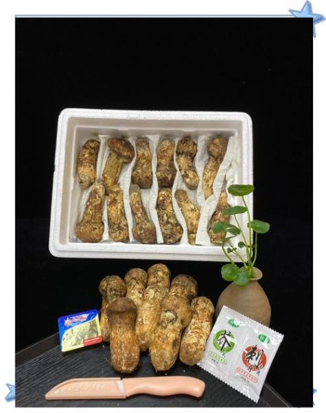 松茸为什么那么贵_松茸多少钱一斤-第1张图片-山城妙识 松茸为什么那么贵_松茸多少钱一斤-第1张图片-山城妙识