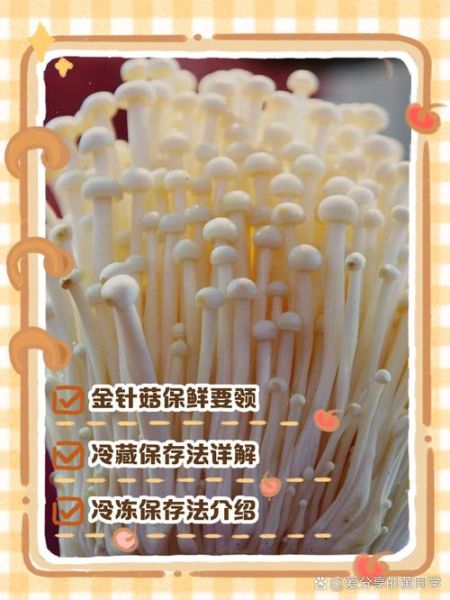 金针菇怎么保存_金针菇图片大图高清细节-第1张图片-山城妙识