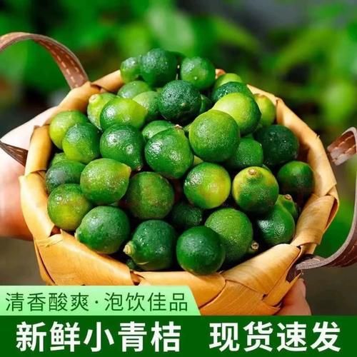 青金桔和青柠檬的区别_哪个更酸-第2张图片-山城妙识 青金桔和青柠檬的区别_哪个更酸-第2张图片-山城妙识