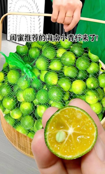 青金桔和青柠檬的区别_哪个更酸-第3张图片-山城妙识 青金桔和青柠檬的区别_哪个更酸-第3张图片-山城妙识