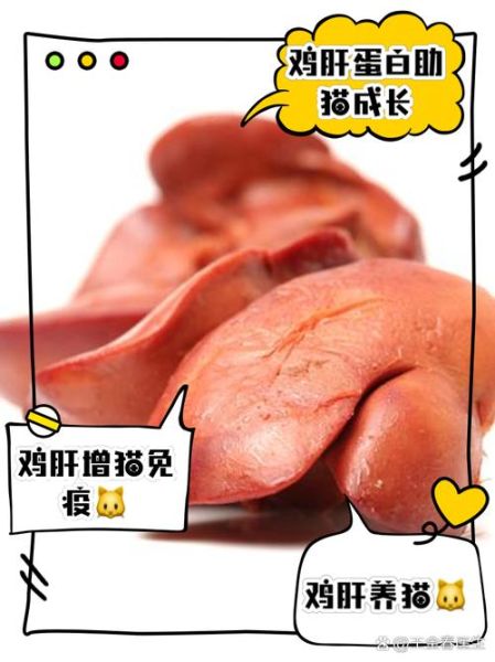 鸡肝吃多了有什么危害_鸡肝的副作用有哪些-第2张图片-山城妙识 鸡肝吃多了有什么危害_鸡肝的副作用有哪些-第2张图片-山城妙识