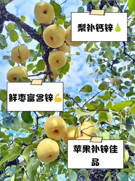 补锌的水果有哪些_吃什么水果补锌最快-第2张图片-山城妙识 补锌的水果有哪些_吃什么水果补锌最快-第2张图片-山城妙识