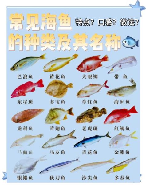 海鱼品种大全及名字_哪些海鱼适合清蒸-第2张图片-山城妙识