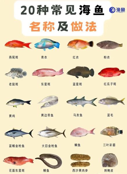 海鱼品种大全及名字_哪些海鱼适合清蒸-第1张图片-山城妙识