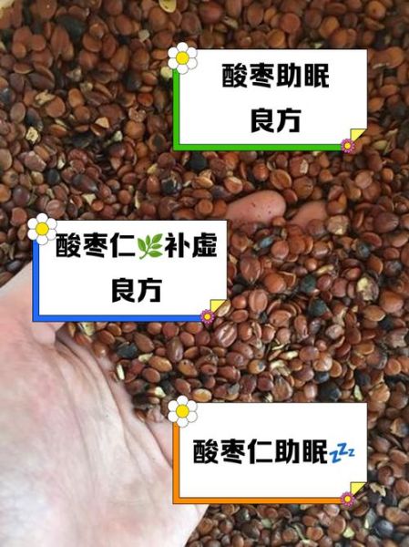 酸枣仁治失眠要炒熟吗_生用还是熟用效果好-第3张图片-山城妙识