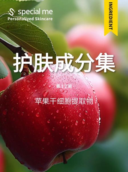 苹果干细胞真的有效吗_美丽集团苹果干细胞使用方法-第3张图片-山城妙识 苹果干细胞真的有效吗_美丽集团苹果干细胞使用方法-第3张图片-山城妙识