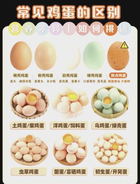 鸡蛋的功效与作用有哪些_鸡蛋营养价值高吗-第2张图片-山城妙识 鸡蛋的功效与作用有哪些_鸡蛋营养价值高吗-第2张图片-山城妙识