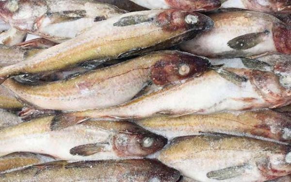 明太鱼是哪里的特产_明太鱼产地在哪里-第2张图片-山城妙识 明太鱼是哪里的特产_明太鱼产地在哪里-第2张图片-山城妙识