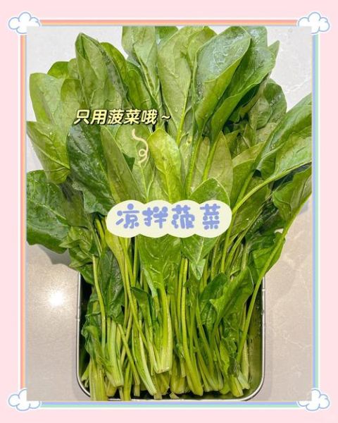 菠菜怎么吃最有营养_菠菜焯水还是生吃好-第2张图片-山城妙识 菠菜怎么吃最有营养_菠菜焯水还是生吃好-第2张图片-山城妙识