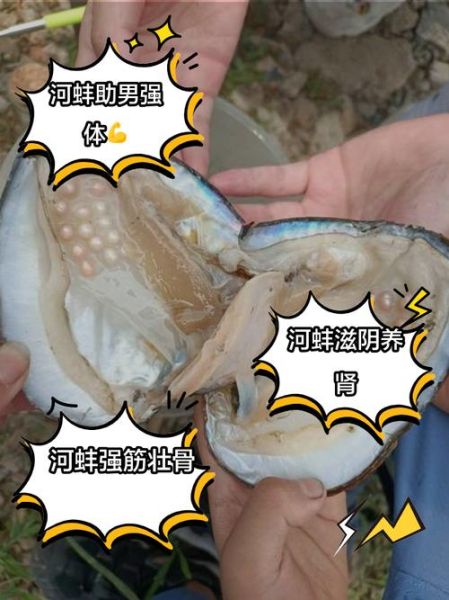 河蚌怎么烧_河蚌怎么清洗-第3张图片-山城妙识