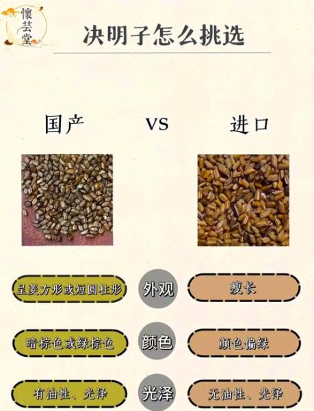 决明子泡水喝的功效与禁忌_决明子怎么喝最养肝-第3张图片-山城妙识