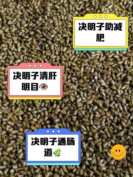 决明子泡水喝的功效与禁忌_决明子怎么喝最养肝-第1张图片-山城妙识