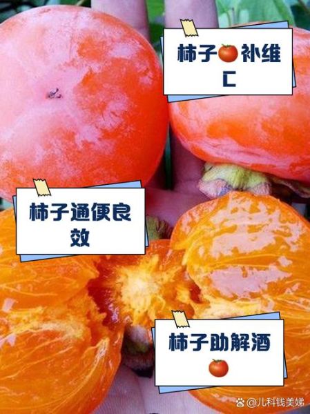 柿子的营养价值及功效_吃柿子有哪些禁忌-第3张图片-山城妙识 柿子的营养价值及功效_吃柿子有哪些禁忌-第3张图片-山城妙识