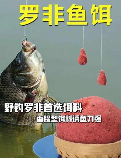 罗非鱼怎么钓_罗非鱼用什么饵料最好-第1张图片-山城妙识 罗非鱼怎么钓_罗非鱼用什么饵料最好-第1张图片-山城妙识