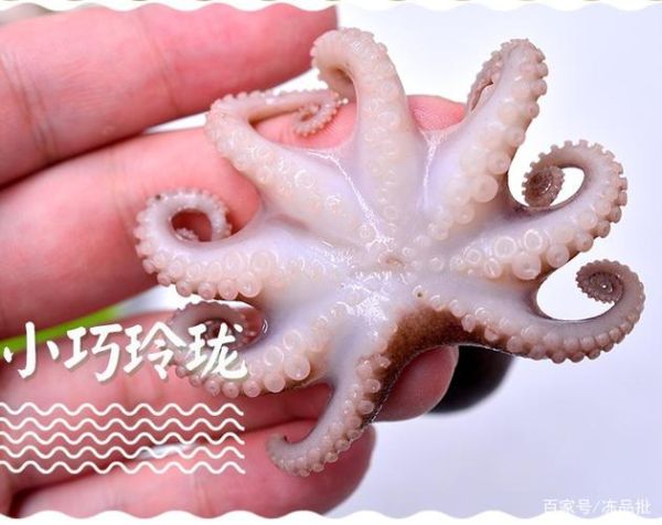 美味海洋2怎么玩_美味海洋2隐藏鱼解锁-第2张图片-山城妙识 美味海洋2怎么玩_美味海洋2隐藏鱼解锁-第2张图片-山城妙识