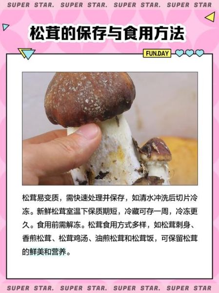 松茸蘑菇多少钱一斤_为什么价格差距这么大-第1张图片-山城妙识 松茸蘑菇多少钱一斤_为什么价格差距这么大-第1张图片-山城妙识
