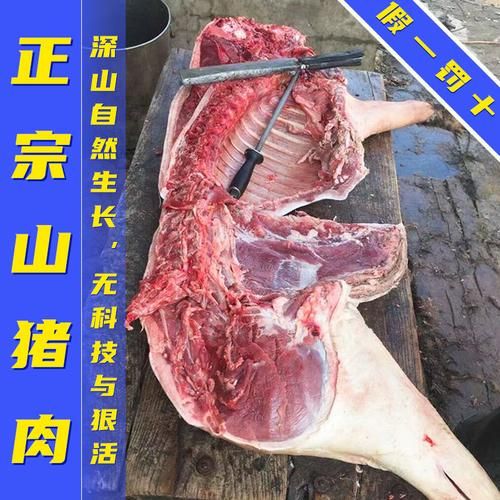 正宗野猪肉多少钱一斤_哪里能买到真货-第3张图片-山城妙识