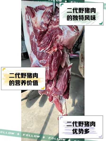 正宗野猪肉多少钱一斤_哪里能买到真货-第1张图片-山城妙识