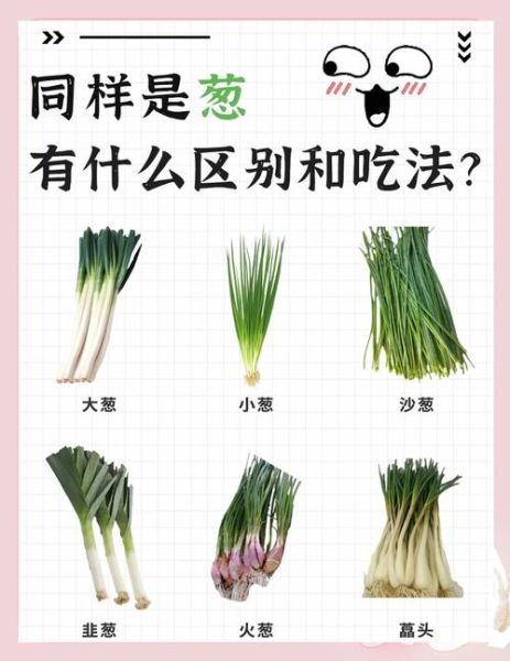 大葱图片大图_如何挑选新鲜大葱-第1张图片-山城妙识