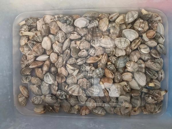 麦香基加盟费多少钱_麦香基加盟条件有哪些-第1张图片-山城妙识