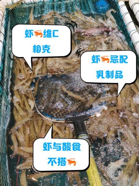 虾和什么相克不能吃_哪些食物与虾同食会中毒-第2张图片-山城妙识