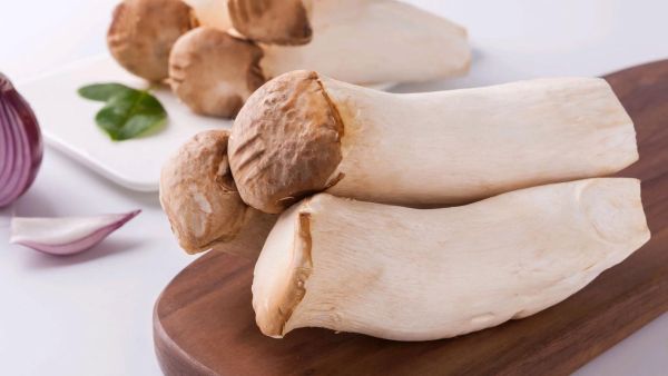 野生鸡腿菇图片_如何辨别真假-第1张图片-山城妙识