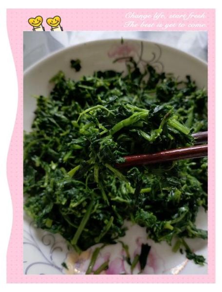 苜蓿草怎么吃才好呢_苜蓿草食用方法大全-第1张图片-山城妙识 苜蓿草怎么吃才好呢_苜蓿草食用方法大全-第1张图片-山城妙识