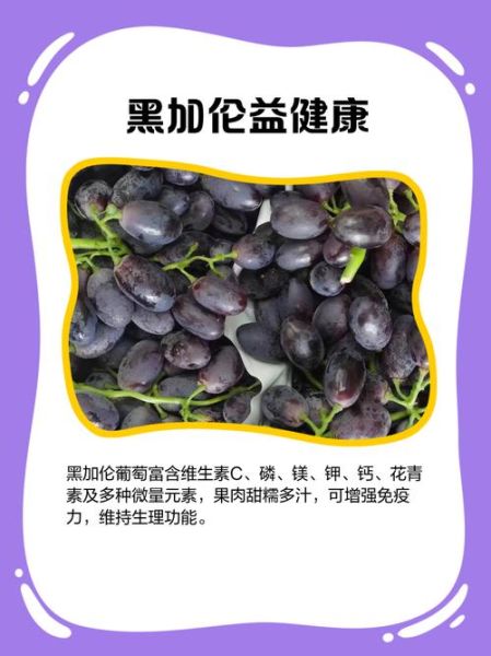 黑加仑怎么吃_黑加仑一天吃多少合适-第3张图片-山城妙识