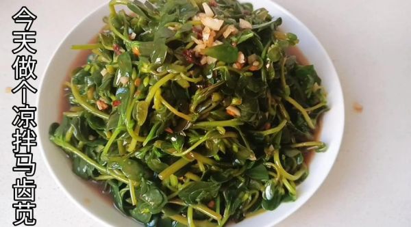 马齿苋怎么吃比较好_马齿苋的吃法大全-第2张图片-山城妙识 马齿苋怎么吃比较好_马齿苋的吃法大全-第2张图片-山城妙识