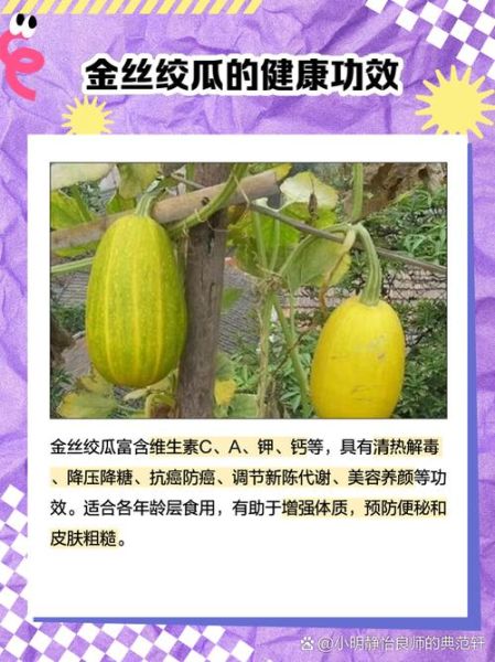 金丝绞瓜怎么做好吃_金丝绞瓜家常做法-第1张图片-山城妙识 金丝绞瓜怎么做好吃_金丝绞瓜家常做法-第1张图片-山城妙识