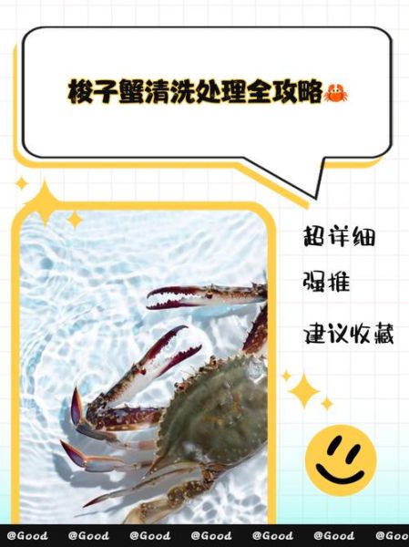 螃蟹怎么清洗_活螃蟹清洗步骤-第1张图片-山城妙识