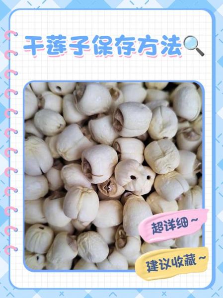 干莲子怎么泡发_干莲子煮粥前要泡多久-第1张图片-山城妙识 干莲子怎么泡发_干莲子煮粥前要泡多久-第1张图片-山城妙识
