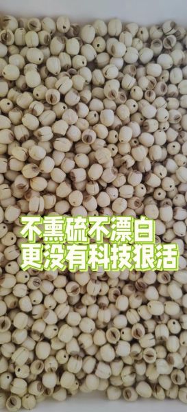 干莲子怎么泡发_干莲子煮粥前要泡多久-第2张图片-山城妙识 干莲子怎么泡发_干莲子煮粥前要泡多久-第2张图片-山城妙识