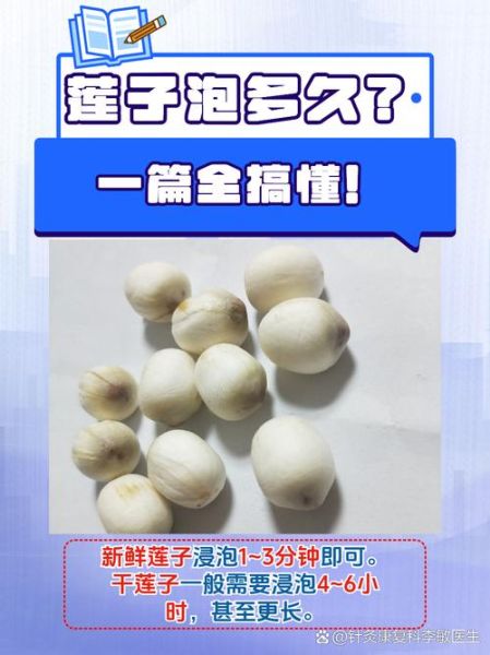 干莲子怎么泡发_干莲子煮粥前要泡多久-第3张图片-山城妙识 干莲子怎么泡发_干莲子煮粥前要泡多久-第3张图片-山城妙识