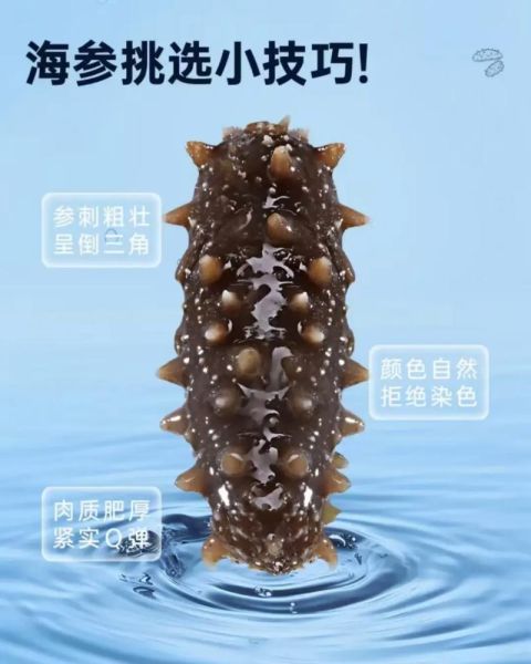 辽宁海参最好的多少钱一斤_顶级辽参价格区间-第3张图片-山城妙识 辽宁海参最好的多少钱一斤_顶级辽参价格区间-第3张图片-山城妙识