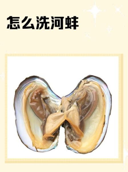 河蚌怎么杀_河蚌处理干净的方法-第1张图片-山城妙识