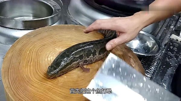 乌鱼影院怎么免费看_乌鱼影院最新地址在哪-第1张图片-山城妙识 乌鱼影院怎么免费看_乌鱼影院最新地址在哪-第1张图片-山城妙识