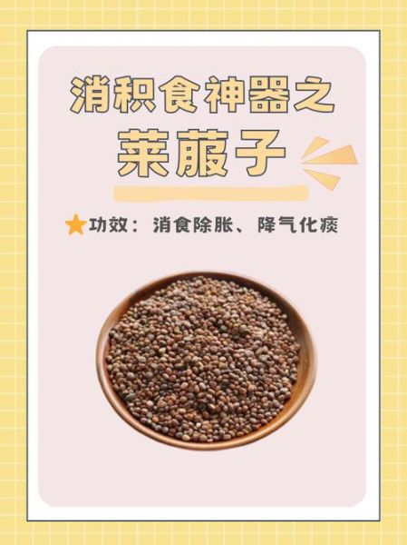 莱菔子有什么功效_莱菔子怎么吃效果好-第3张图片-山城妙识 莱菔子有什么功效_莱菔子怎么吃效果好-第3张图片-山城妙识