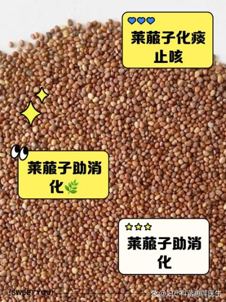 莱菔子有什么功效_莱菔子怎么吃效果好-第1张图片-山城妙识 莱菔子有什么功效_莱菔子怎么吃效果好-第1张图片-山城妙识