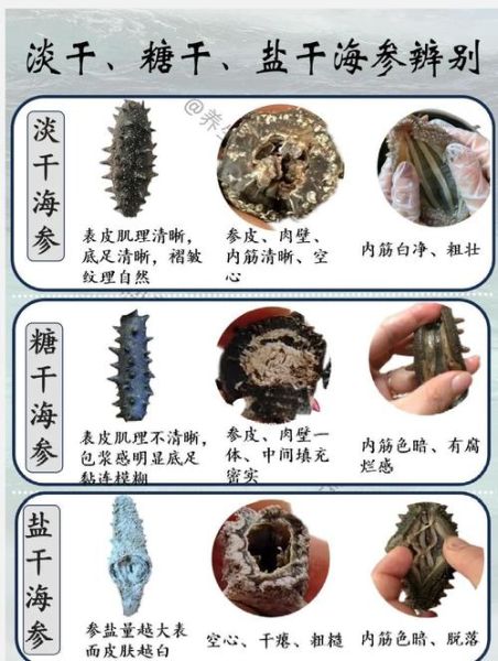 干海参怎么选好坏_干海参挑选技巧-第3张图片-山城妙识 干海参怎么选好坏_干海参挑选技巧-第3张图片-山城妙识