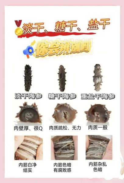 干海参怎么选好坏_干海参挑选技巧-第1张图片-山城妙识 干海参怎么选好坏_干海参挑选技巧-第1张图片-山城妙识