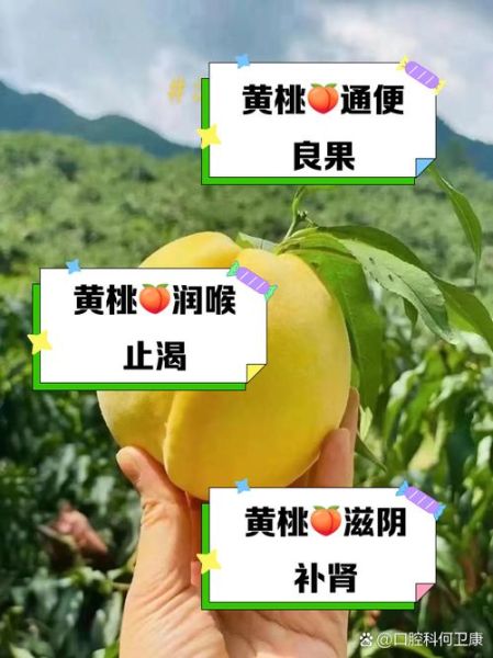黄桃的功效与作用及禁忌_什么人不能吃黄桃-第2张图片-山城妙识